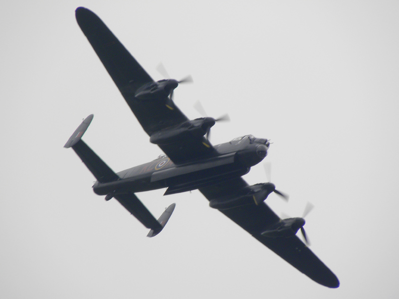 Best ZED moment ever !!! - zroadster.net